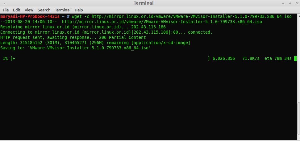 Download Lewat Terminal/Konsole Menggunakan "wget" - Maryadi Aris Munandar
